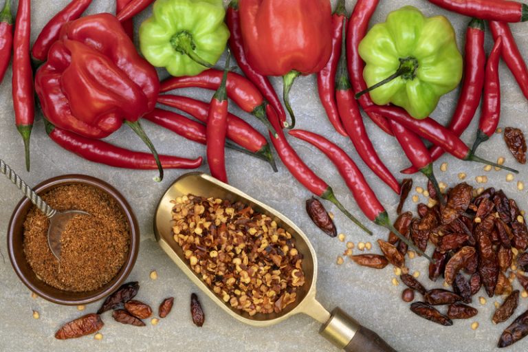 Les Piments Séchés : Petits Diables de la Cuisine ! DALIMI
